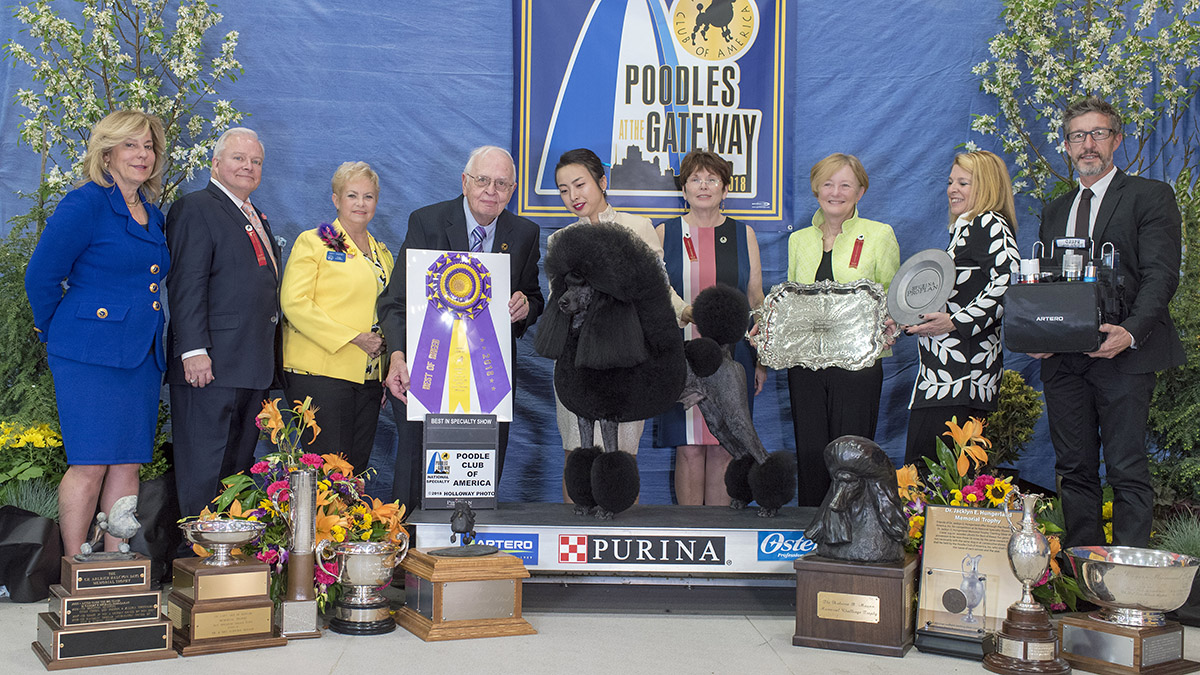2018 National Standard Results - The Poodle Club of America